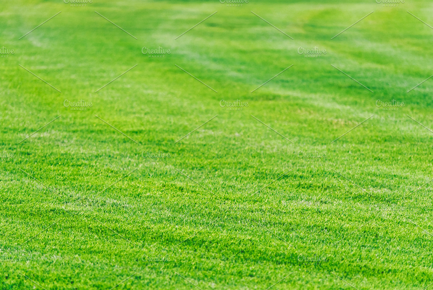 Perfect mowed green grass lawn backg, a Background Photo by hitdelight ...
