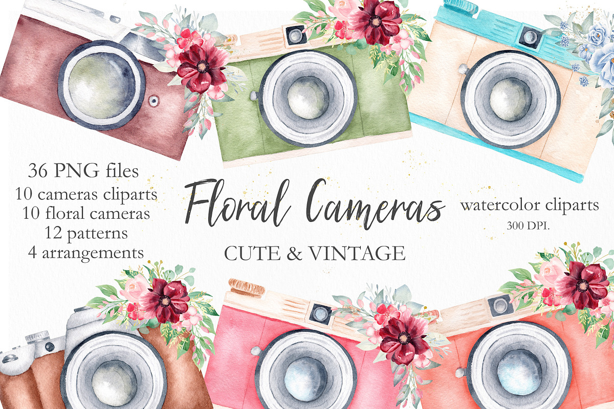 Watercolor Vintage Cameras Set, a Decorative Illustration by ...
