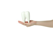 Tooth care concept, female hand holds tooth, isolated on white b, a ...