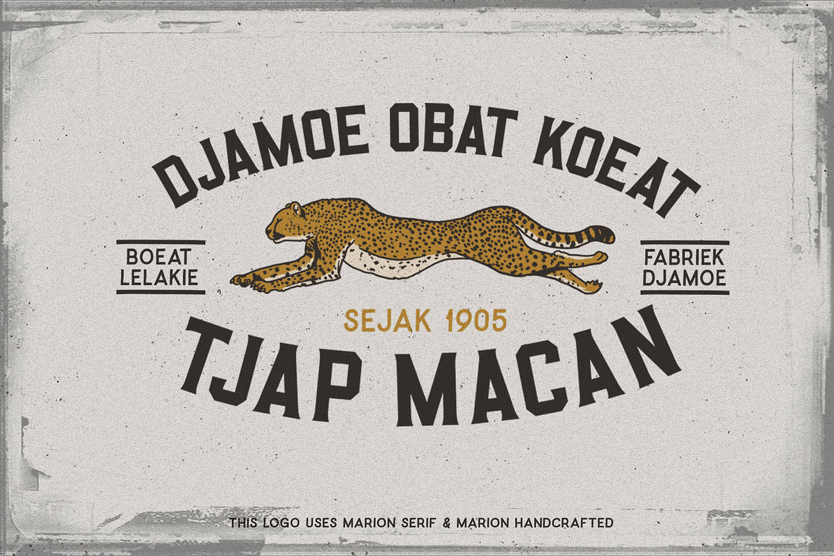 Marion 5 Font, a Script Font by Secondivison Supply