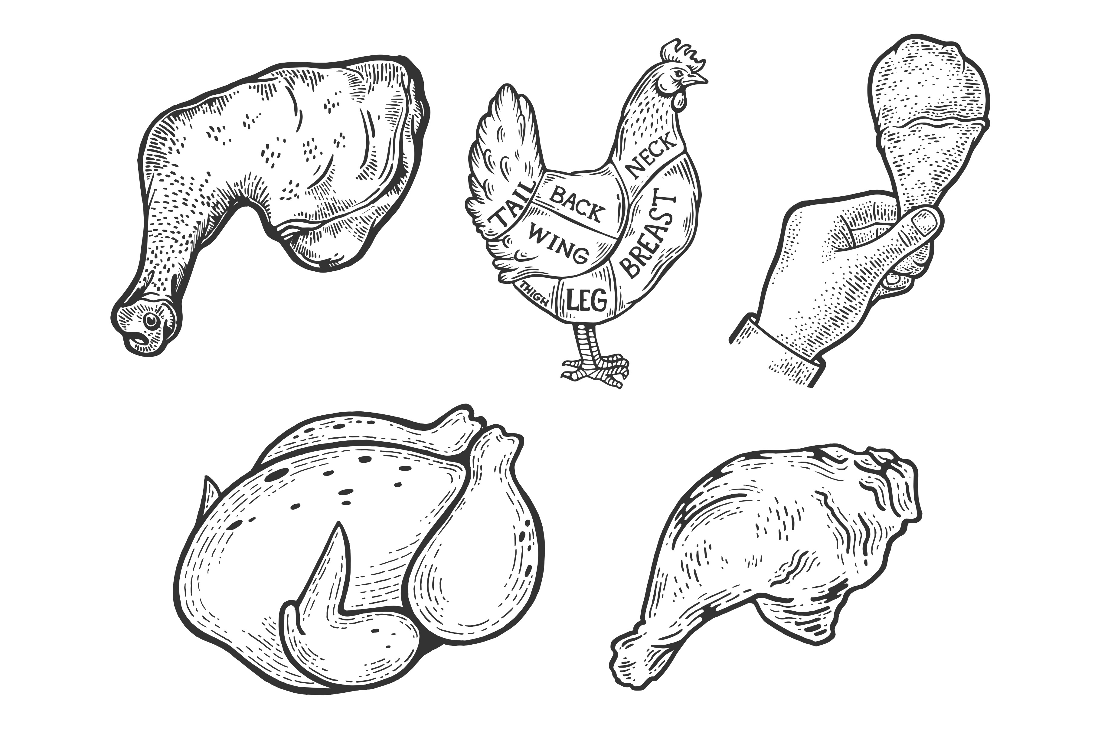 Chicken meat set sketch vector, an Animal Illustration by AlexArt