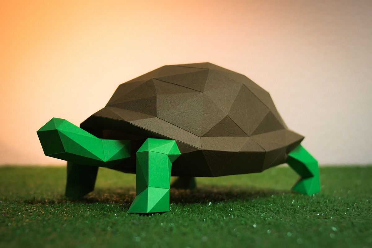 DIY Turtle 3D model template, a Graphic by PolyFish