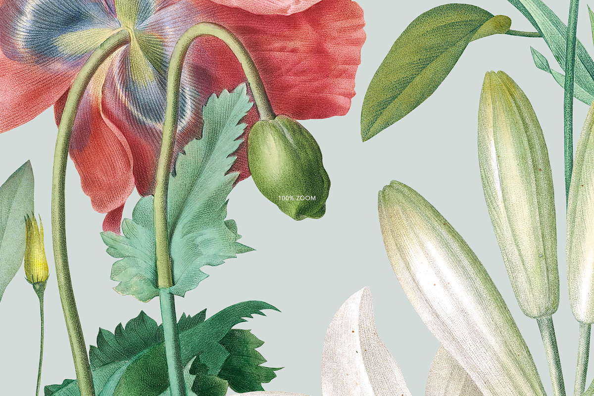 Bloom Floral English Pattern, a Pattern Graphic by likorbut