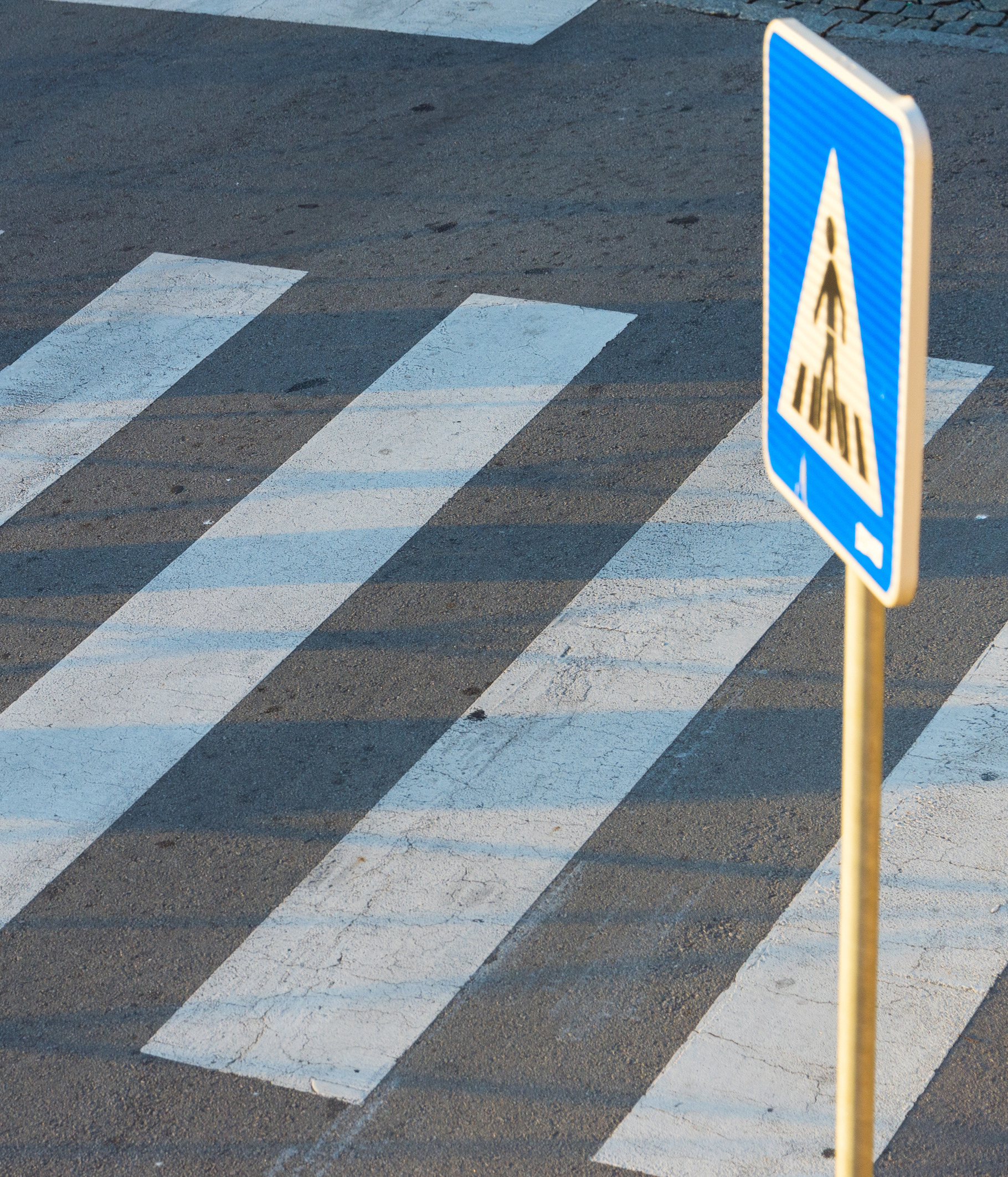 Pedestrian road crosswalk zebra sign featuring zebra, road, and ...