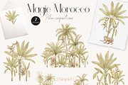 Magic Morocco. Arch, monkey, jungle, an Animal Illustration by Kreker Kate
