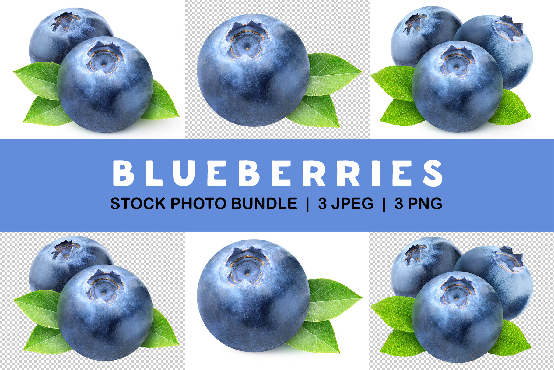 Fresh blueberries | Graphic Objects ~ Creative Market