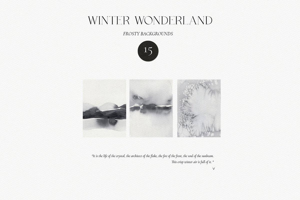 WINTER WONDERLAND: Christmas animals, an Animal Illustration by Lana Elanor