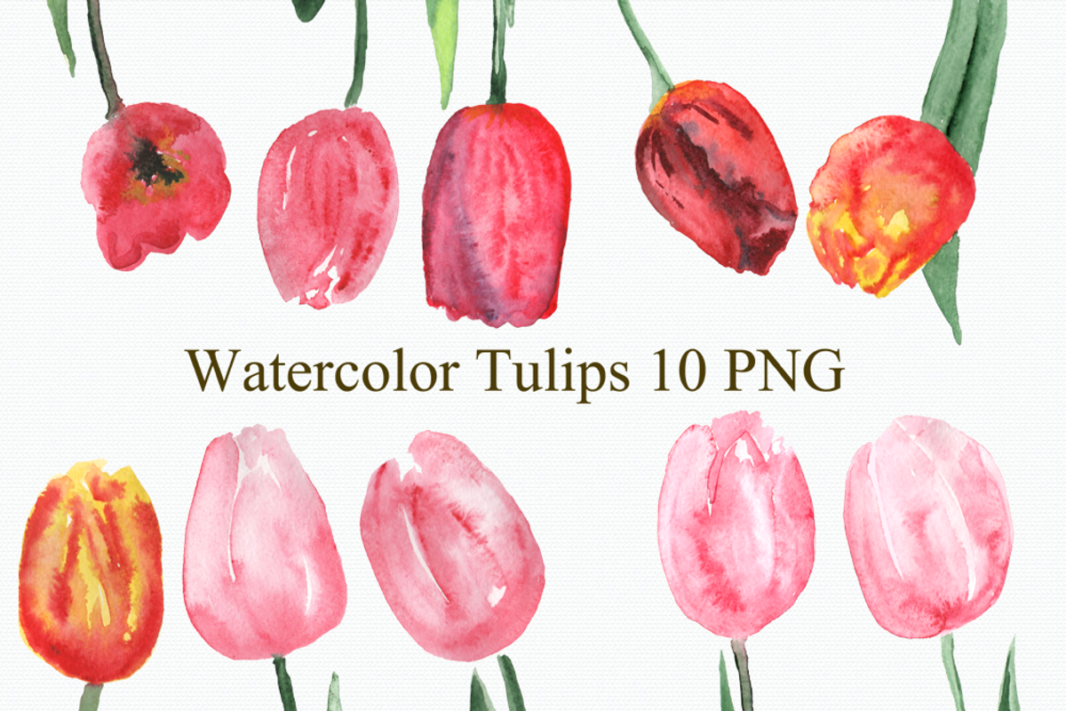 Watercolor Tulips Clip Art, an Object Graphic by Tati Bordiu