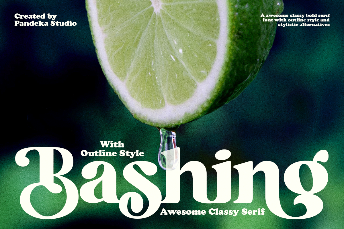 Bashing - Retro Swash Font, a Serif Font by Pandeka Studio