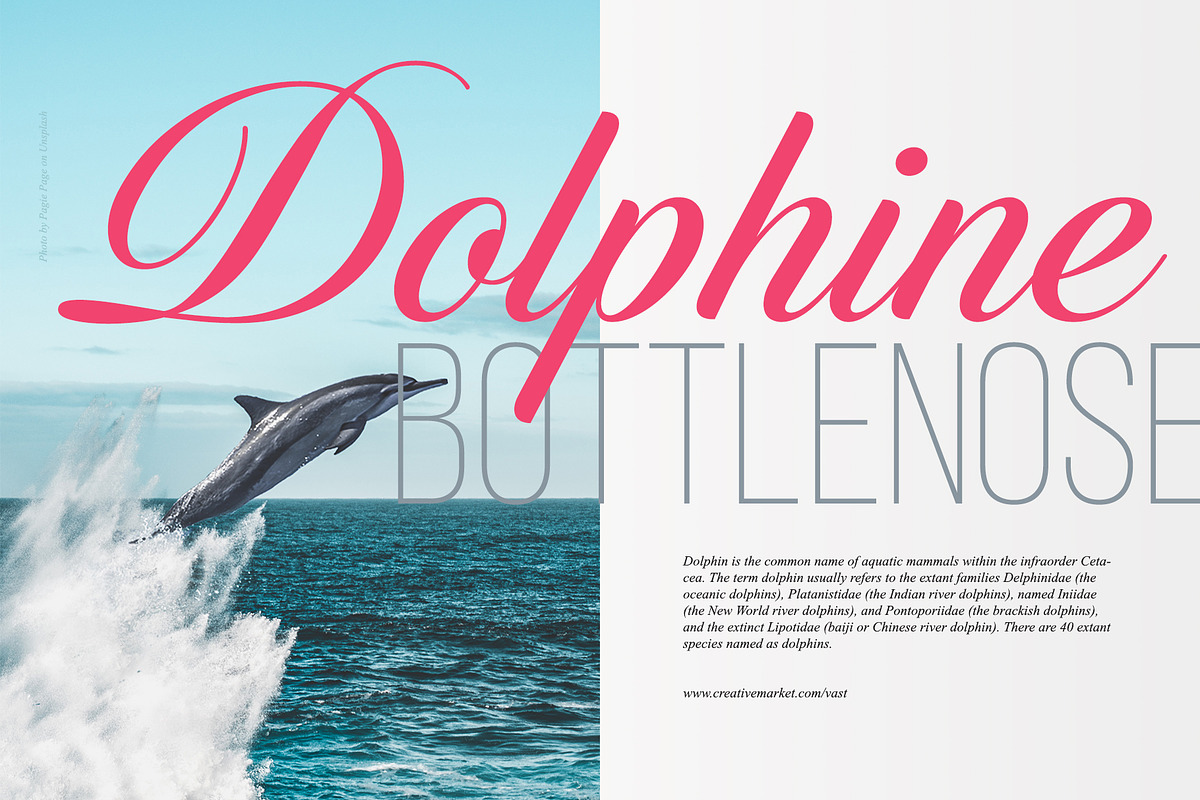 Candlescript Neue Basic (Cyrillic, Greek, Latin)