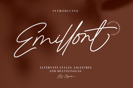 Shinola Handwritten Script, a Script Font by ngene