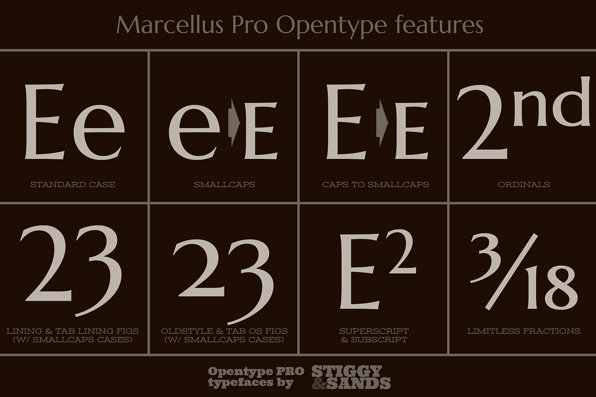 Marcellus Pro, a Serif Font by Stiggy & Sands