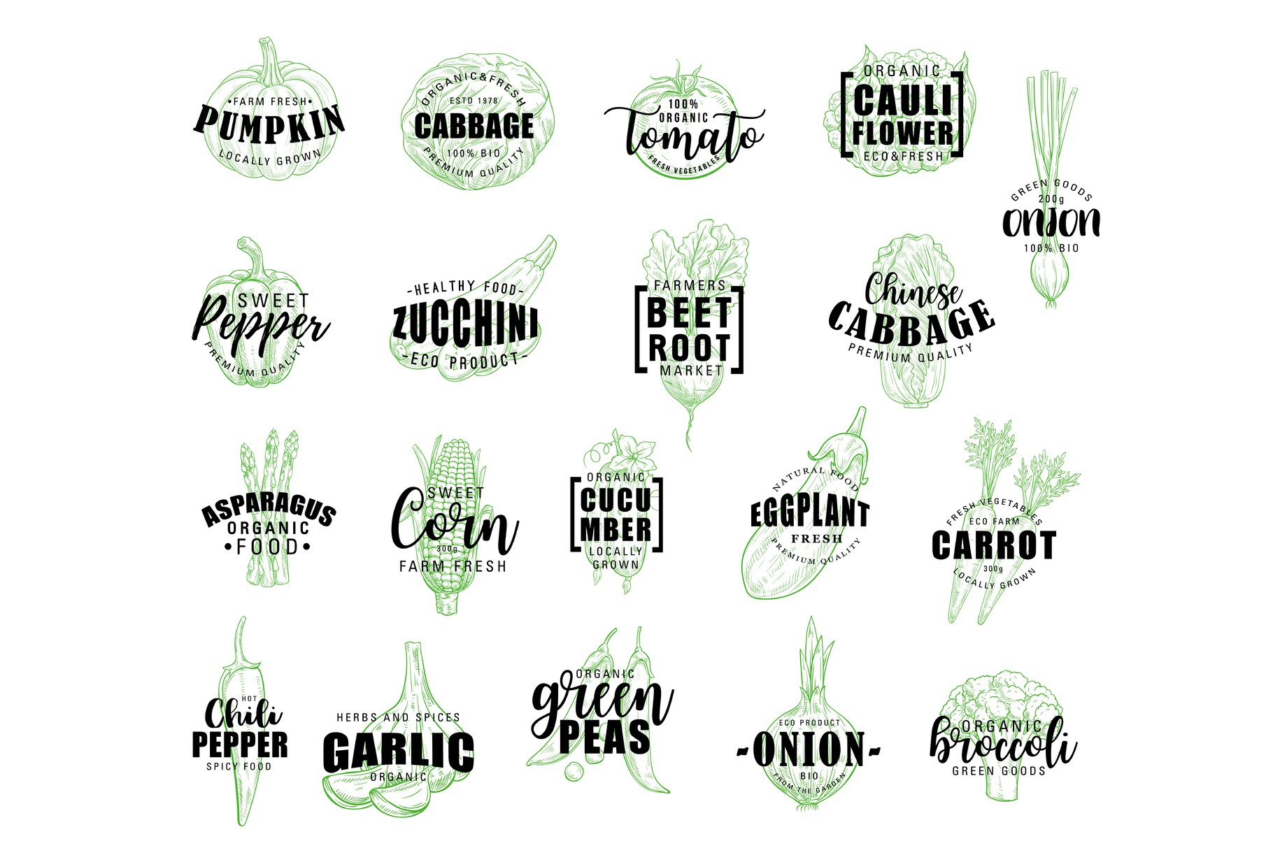 Vegetable hand drawn lettering icons, a Food Illustration by Vector ...