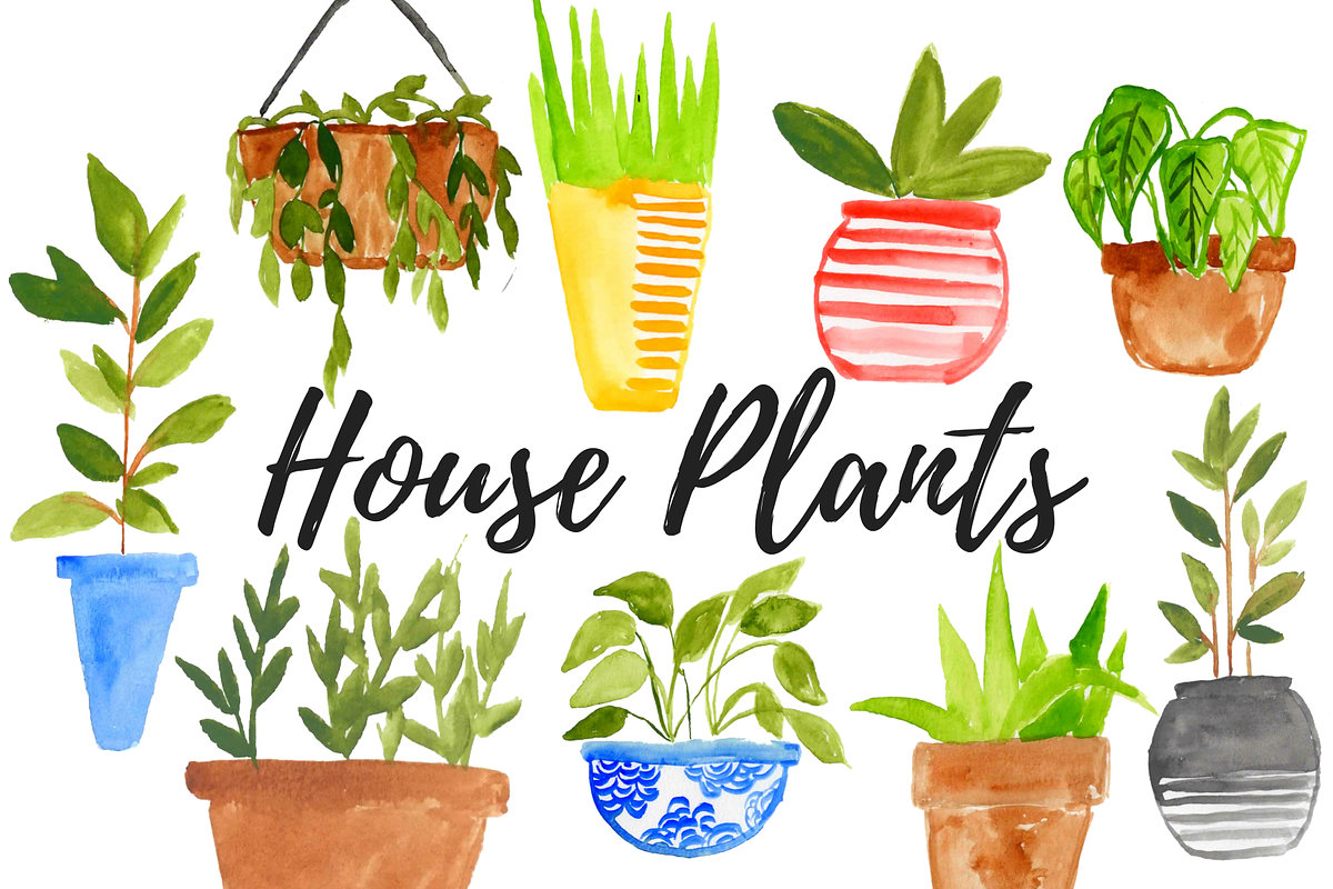 Watercolor House Plant Clipart, an Illustration by Writelovely ...