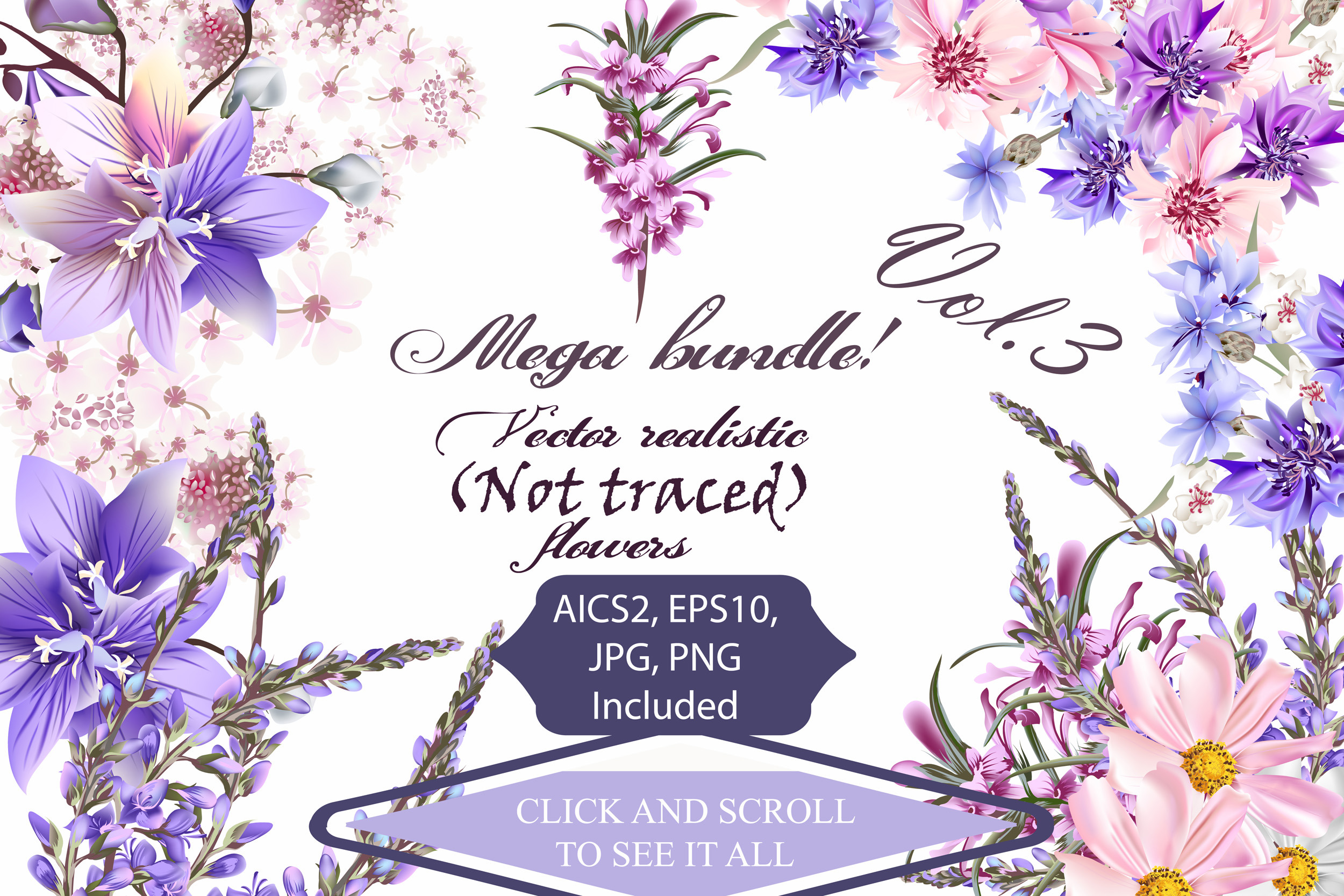 Mega field flowers pack, a Decorative Illustration by FleurArt