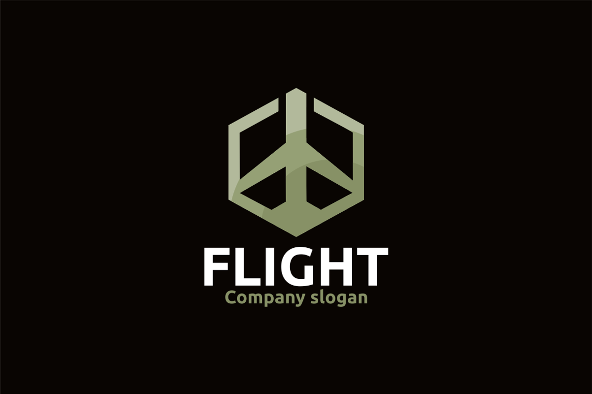 Airplane Flight Logo, a Branding & Logo Template by Metrolinevision