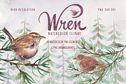 Watercolor wren bird clipart set | Illustrations ~ Creative Market