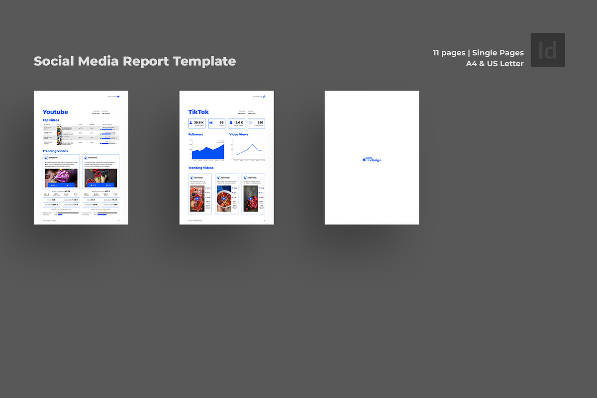 Social Media Report, a Brochure Template by StockInDesign