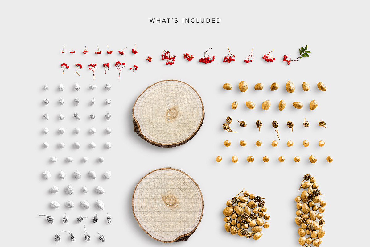 Winter Nature Elements Scene Creator, a Product Mockup by Custom Scene