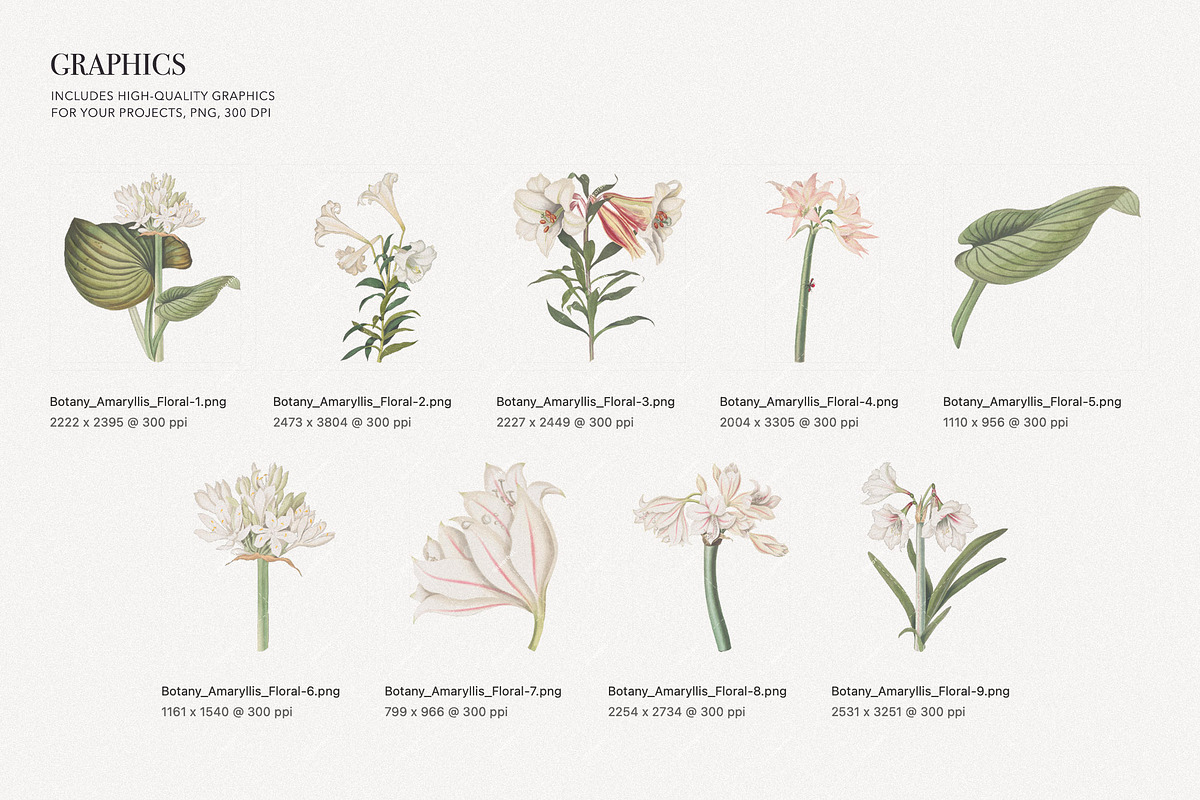 Vintage Lily English Floral Pattern, a Pattern Graphic by likorbut