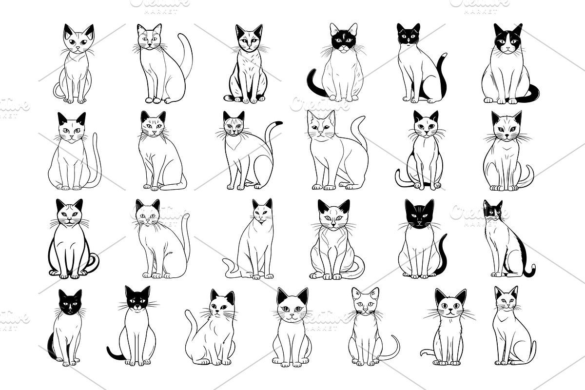 50 Cats Procreate Stamps Brushes