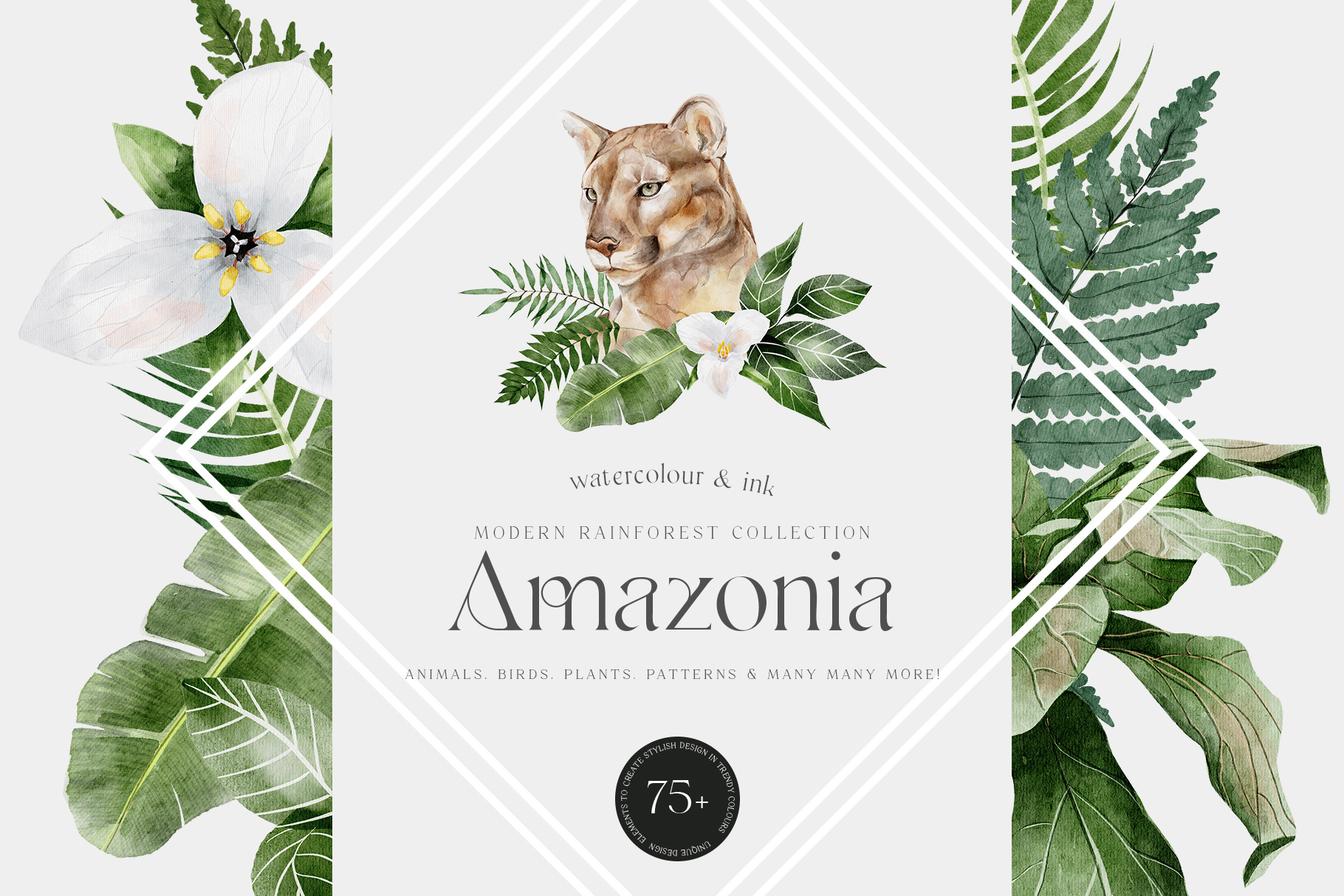 Watercolor Rainforest Collection, an Animal Illustration by Busy May Studio