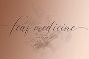 Sully Font Script, a Script Font by danti