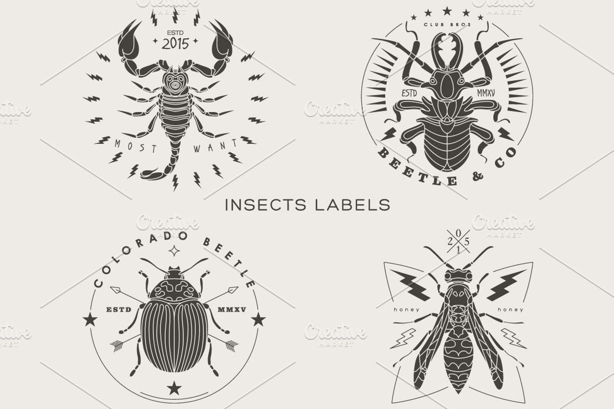 Vintage insect labels, a Branding & Logo Template by karnofff ...