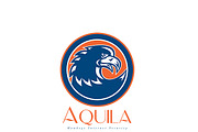 Aquila Internet Security Logo, a Branding & Logo Template by patrimonio