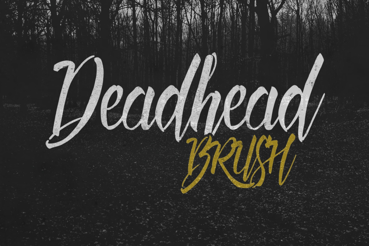 Deadhead Brush, a Script Font by Twicolabs Fontdation | Creative Market