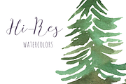 Watercolor Pine Trees Pack, an Illustration by PaperSphinx