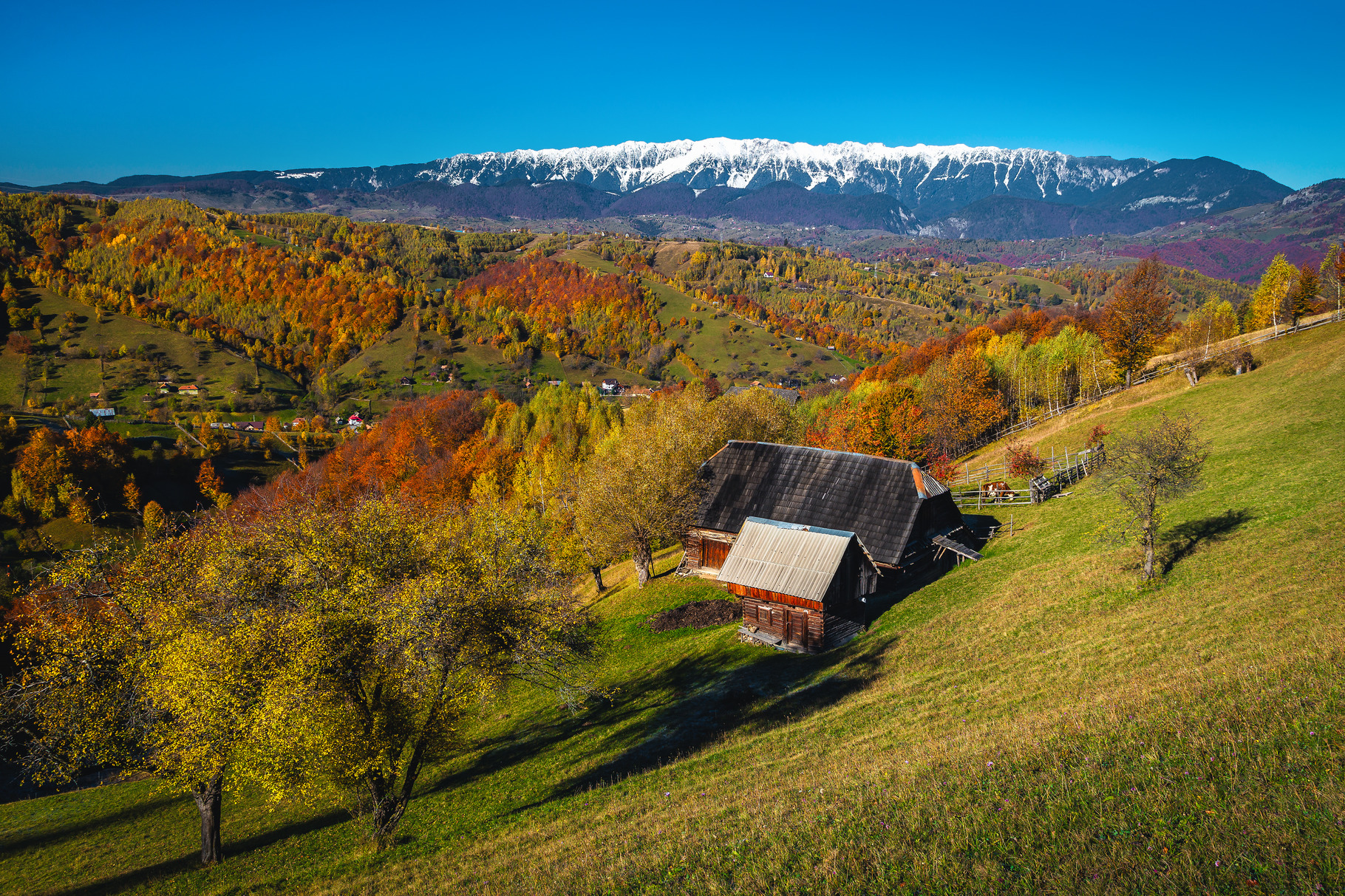 Amazing countryside autumn scenery, a Nature Photo by Alpine Dreams