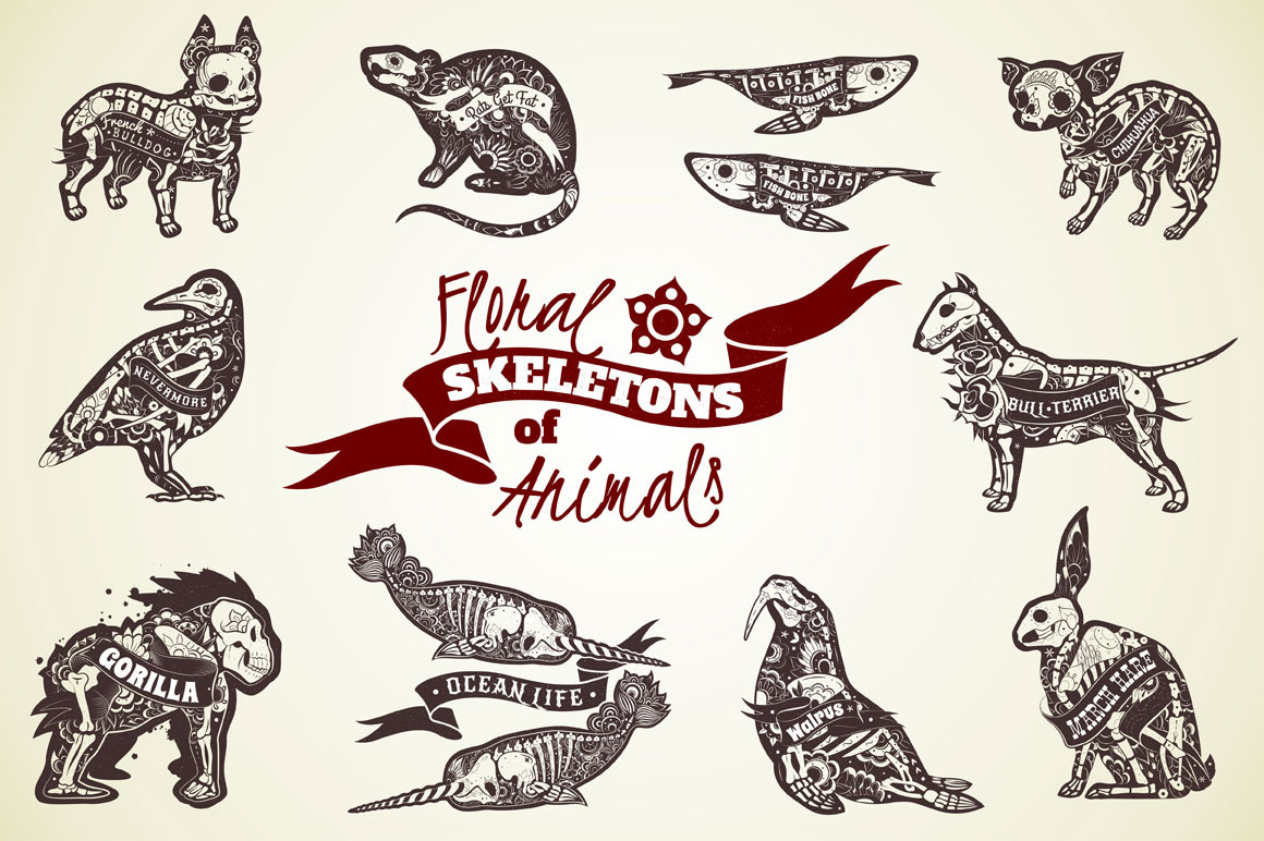 Floral Bones, an Animal Illustration by Vectorcreator | Creative Market