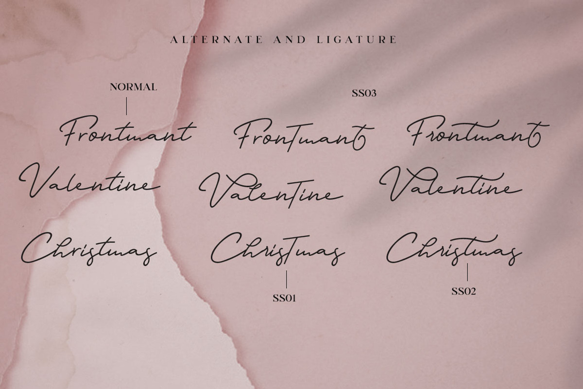 Orlando Signature + Extra Logo, a Script Font by Anxiety Studio