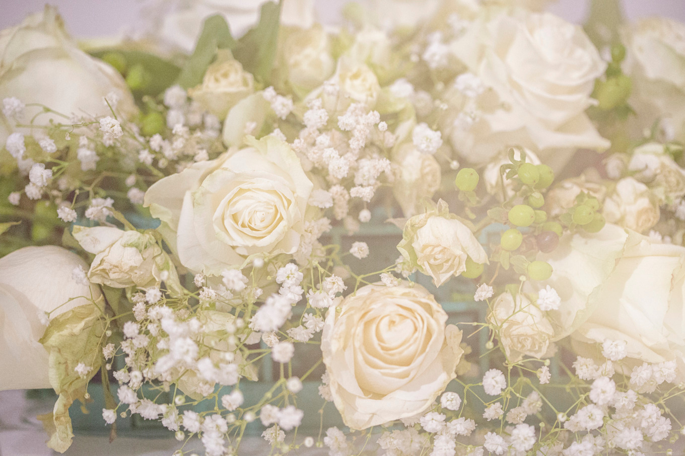 White roses containing arrangement, bouquet, and bunch, a Nature Photo ...