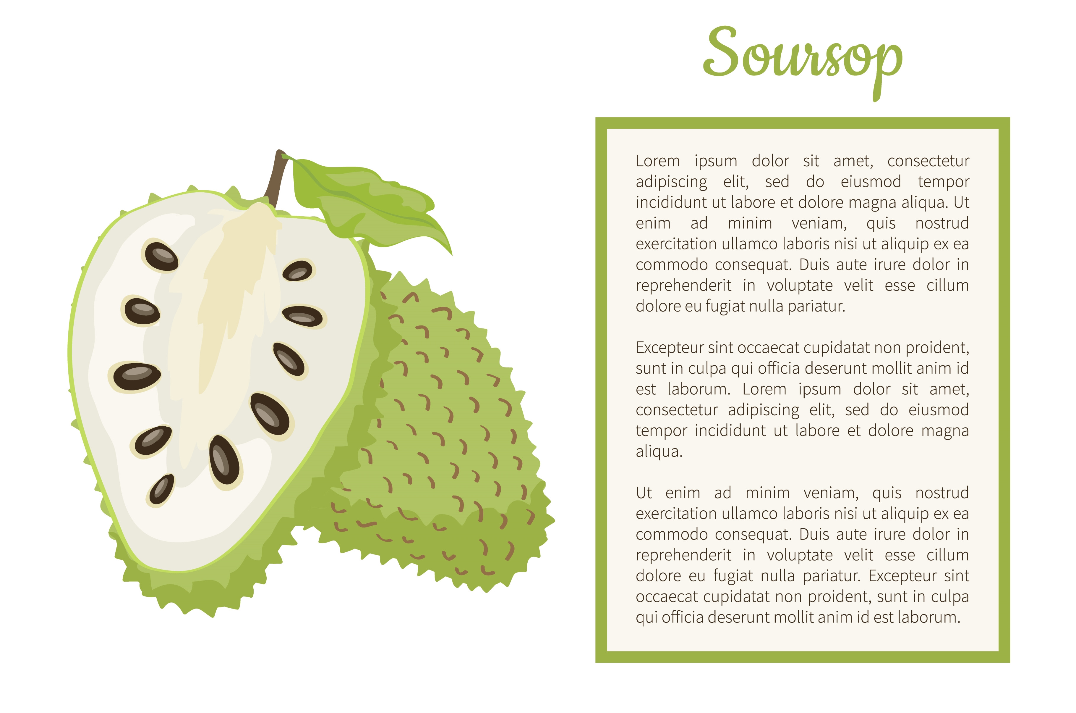 Soursop Whole and Cut Fruit Frame, a Food Illustration by robuart