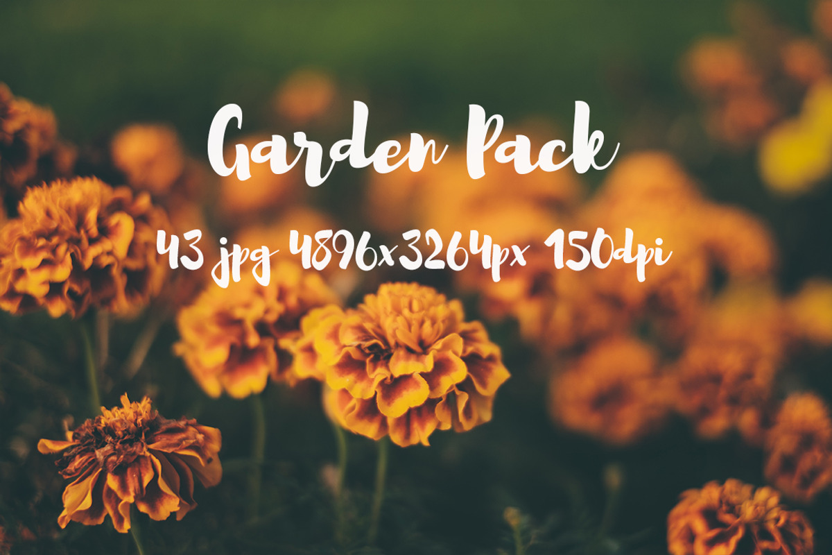 Garden Pack, a Templates & Theme by ApertureVintage