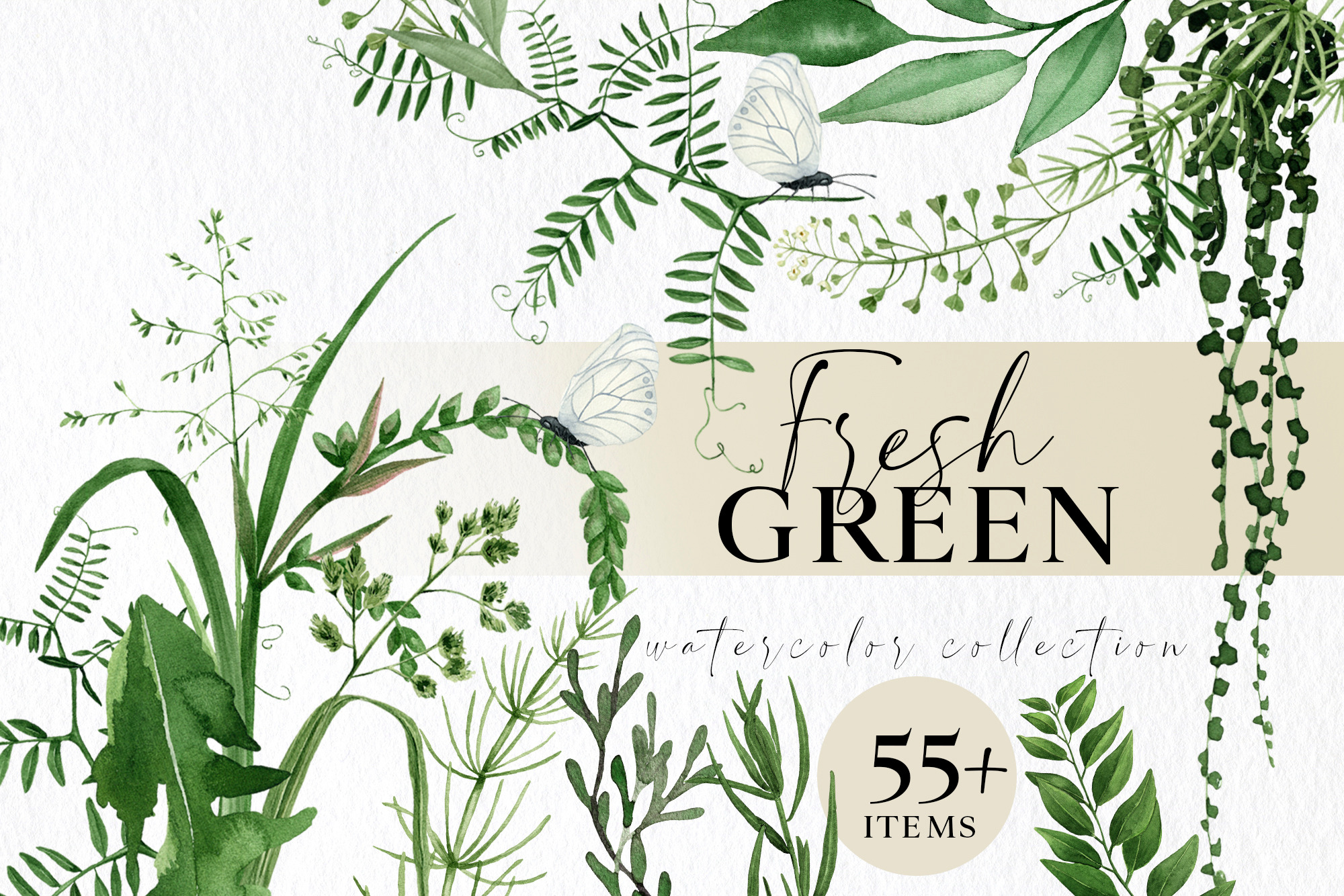 Watercolor greenery clipart, plants, an Illustration by WatercolorWind