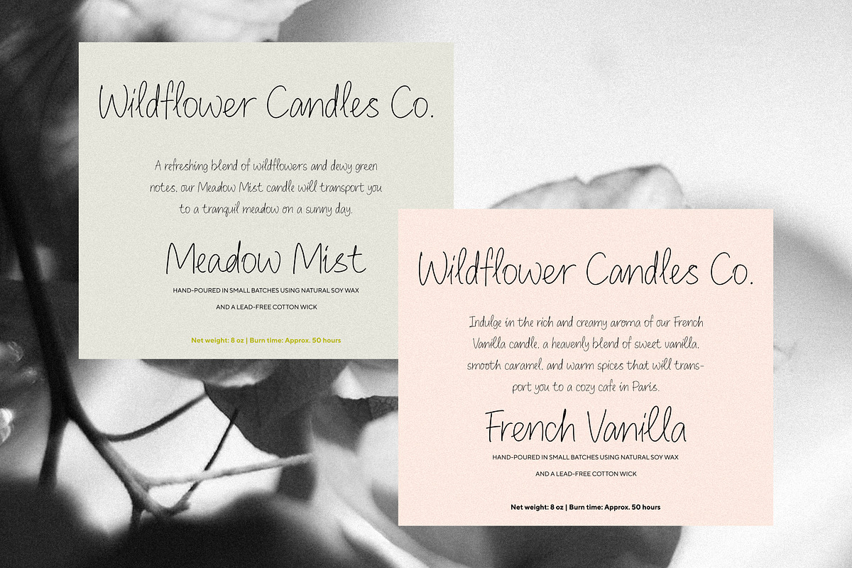 Notes from Paris Legible Script Font, a Handwritten Font by PeachCreme