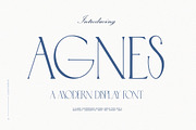 Agnes Modern Display Font, a Serif Font by Laras Wonderland