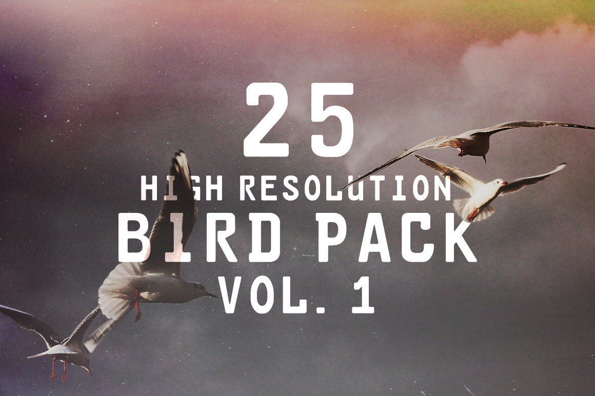 Bird Pack Vol. 1 | Animal Stock Photos ~ Creative Market