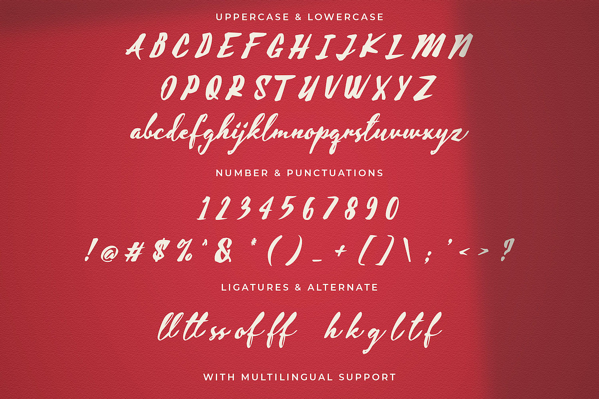 Aline - Handwritten Font, a Script Font by StringLabs | Creative Market