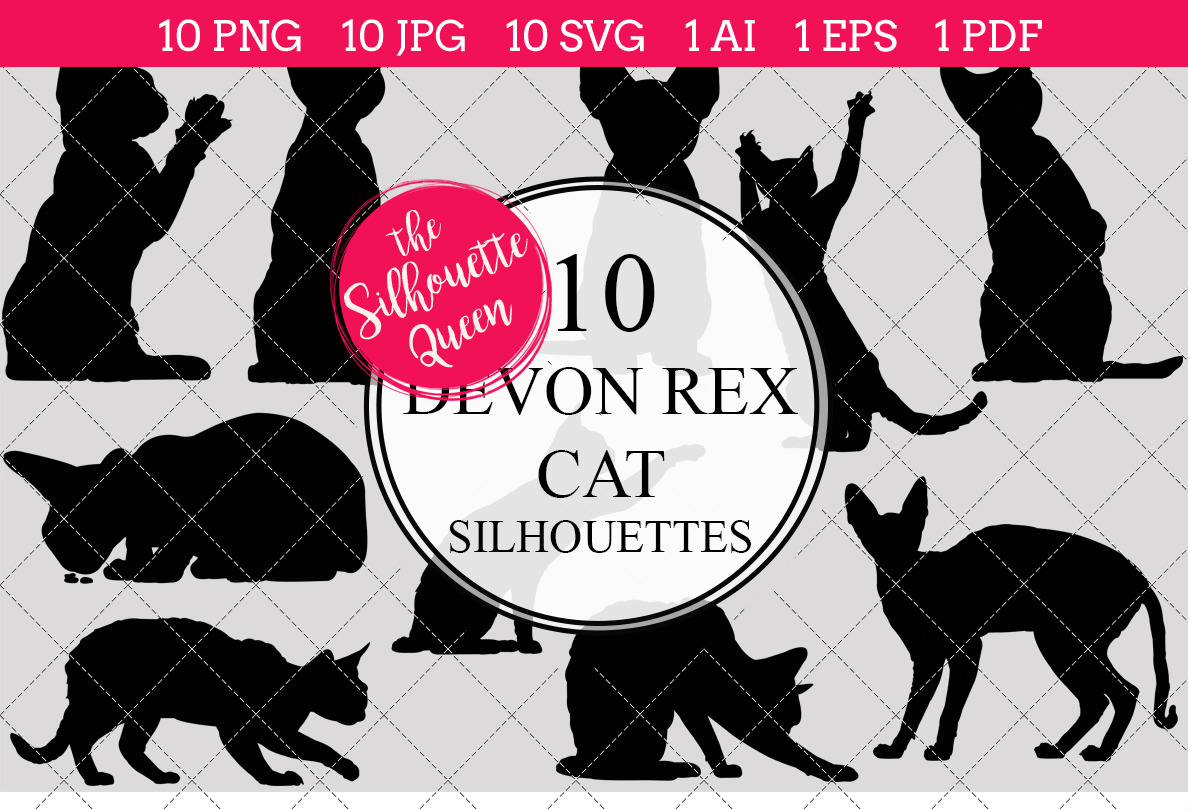 Devon Rex Cat silhouette vector, an Object Graphic by The Silhouette Queen
