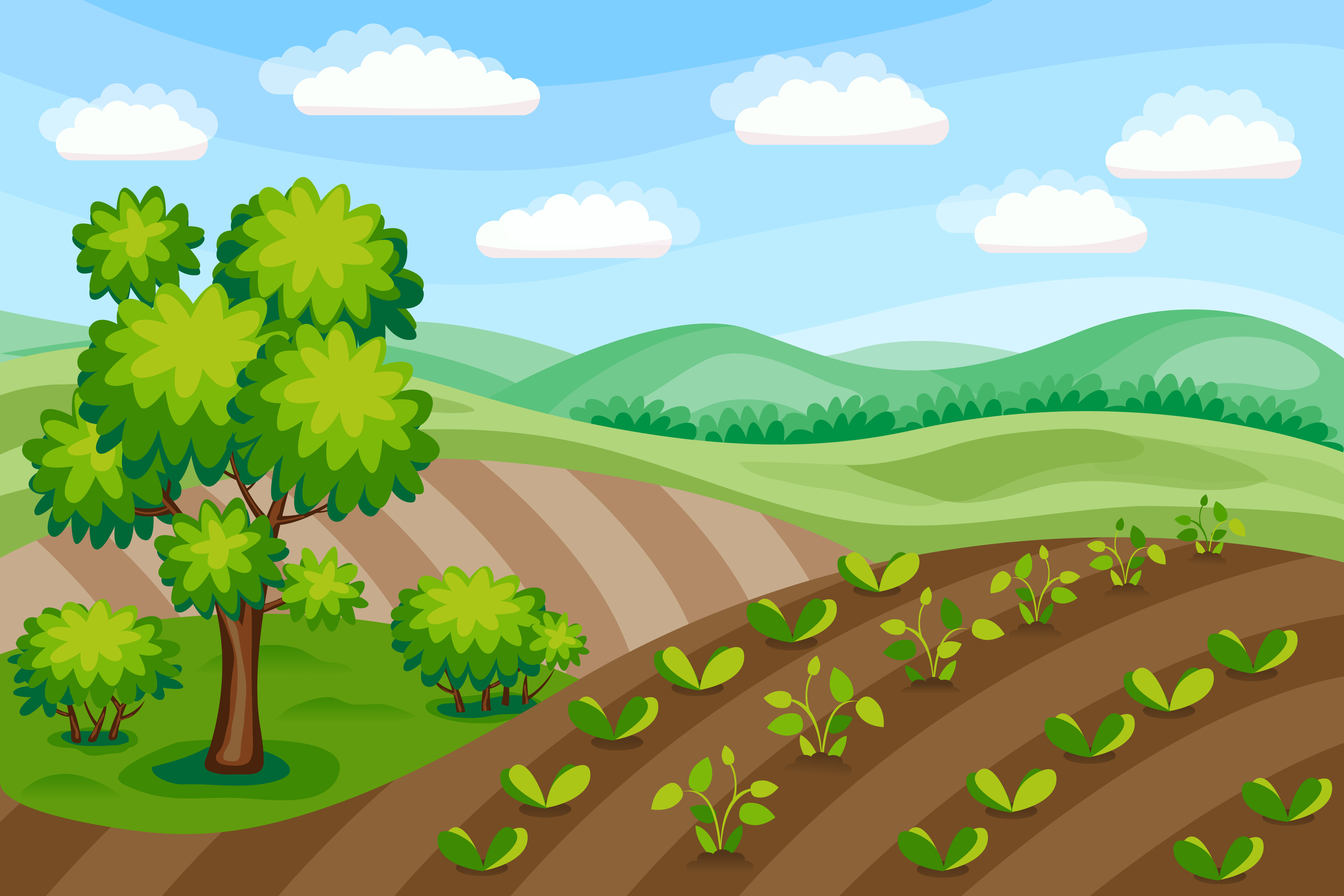 Spring Farm Rural Landscape, an Illustration by MalinaShop