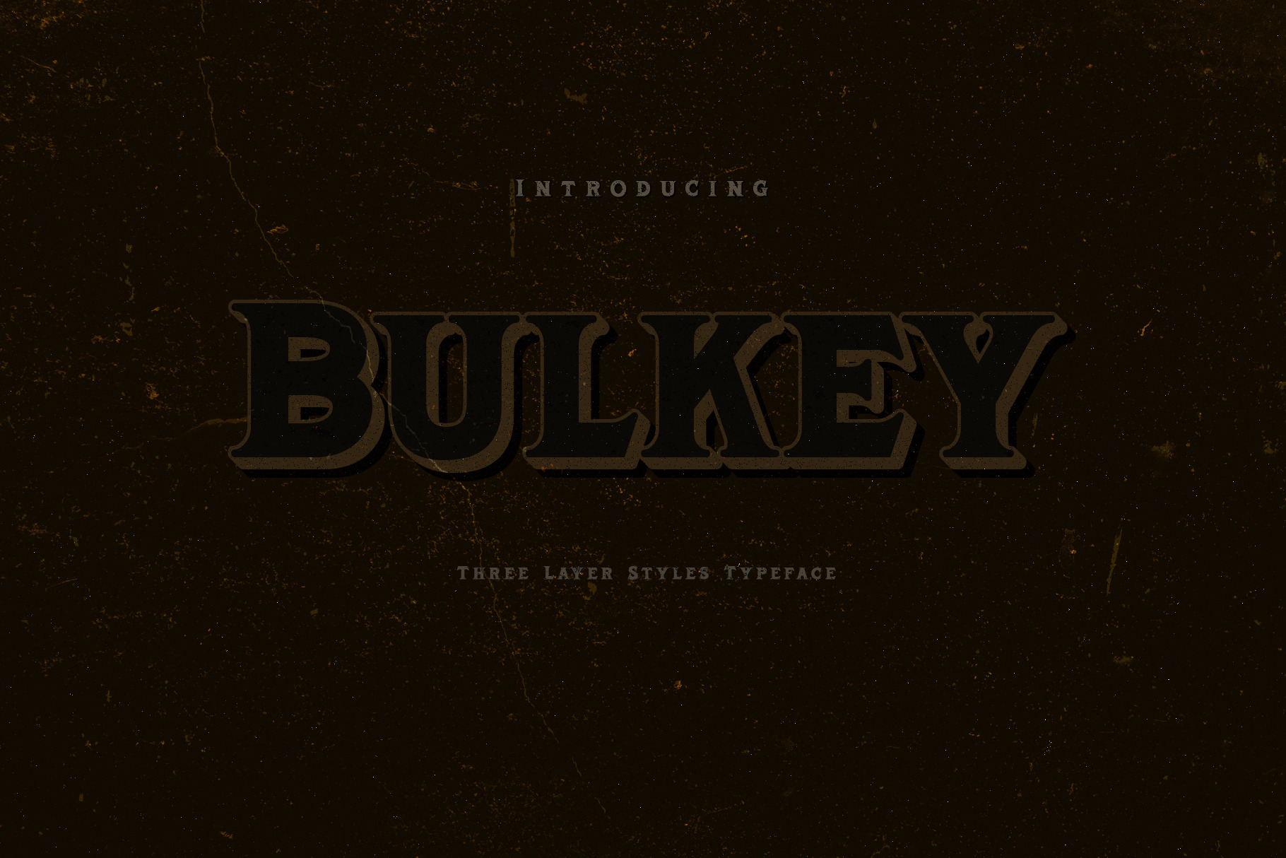 Bulkey, a Font by deadlock studio