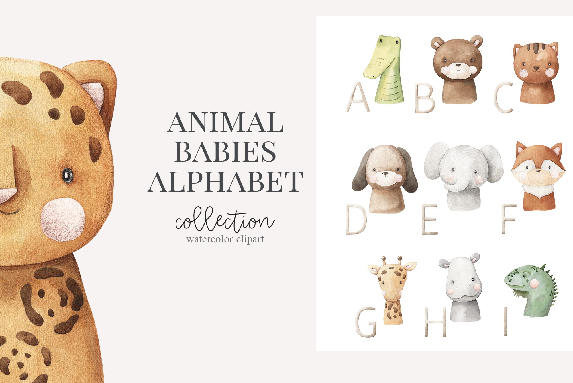 Watercolor Animal Alphabet, an Animal Illustration by Alesya Pytskaya