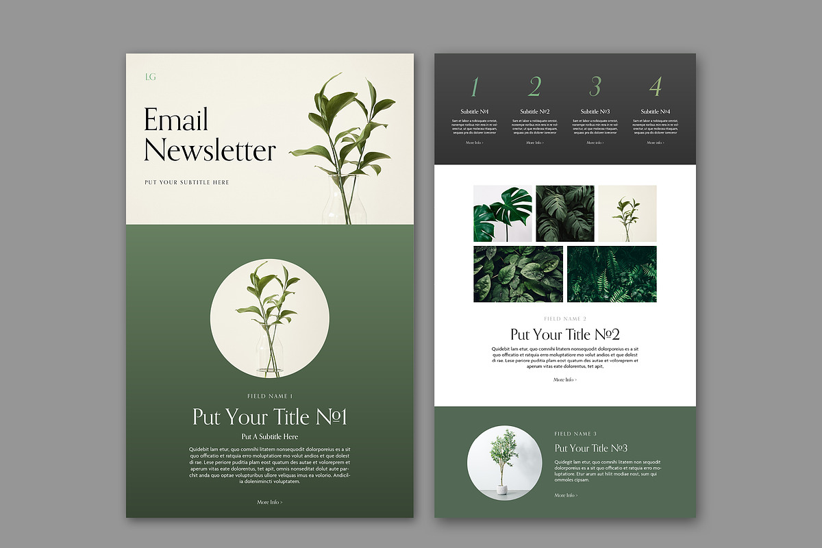 Digital Email Newsletter Layout, an Email Template by tomsarraipodesign
