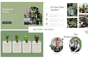 Nature Botany Powerpoint Template, a Presentation Template by PaperMoon