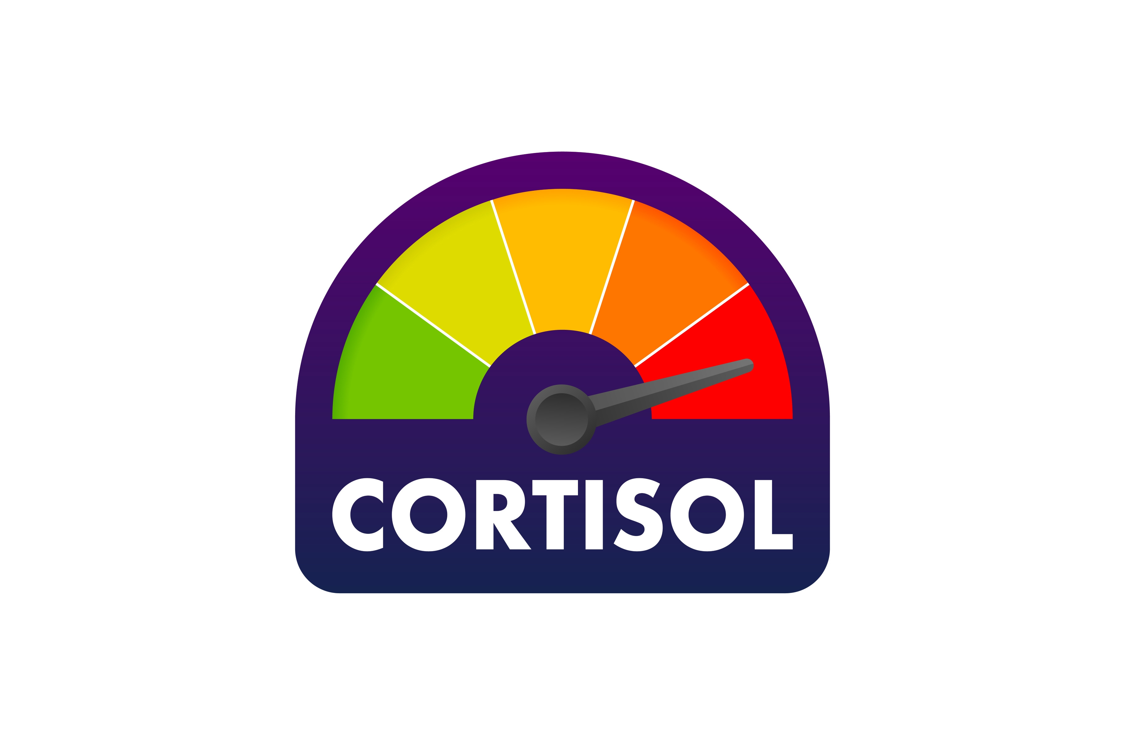 Flat cortisol level for medical, an Object Graphic by DG-Market