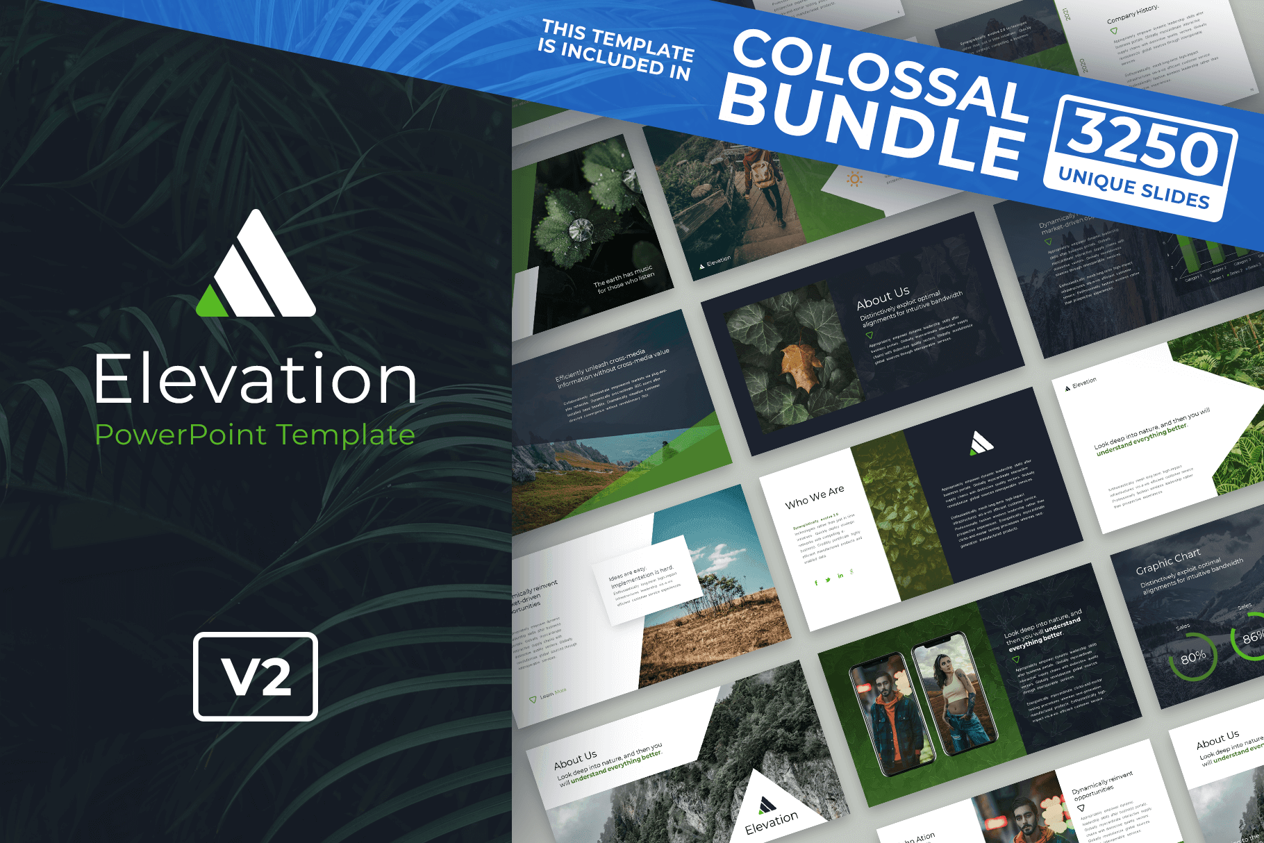 Elevation Powerpoint template & Slide